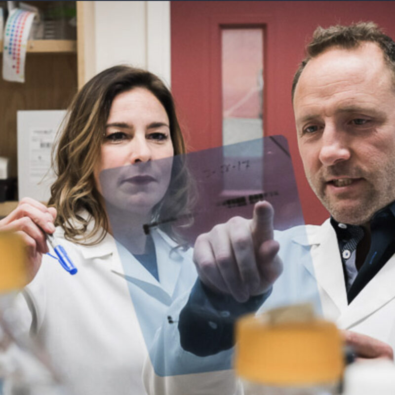 LOCATION, PARKING AND DIRECTIONS: Wayne and Gladys Valley Center for ...