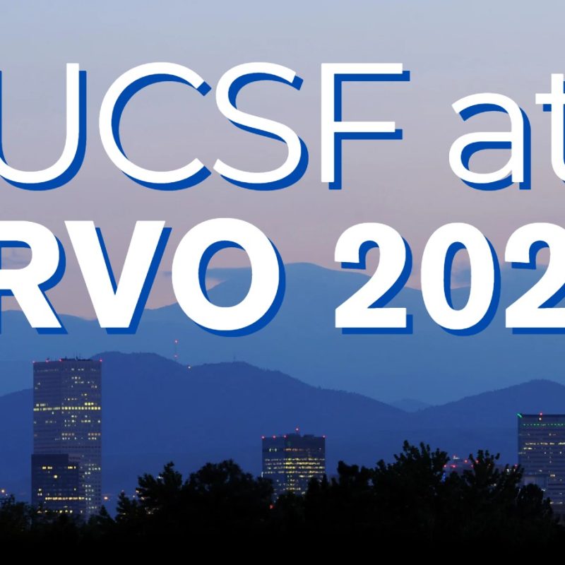Xin Duan, PhD - UCSF Department of Ophthalmology